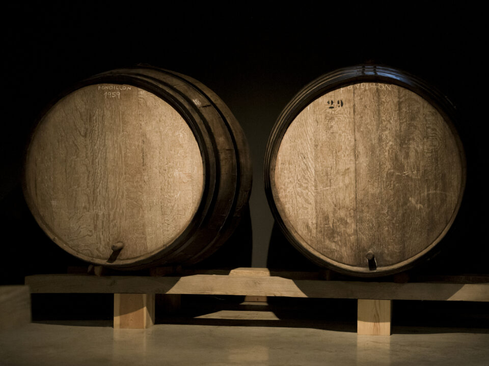 The Future of Wine Barrel Innovation: Trends to Watch