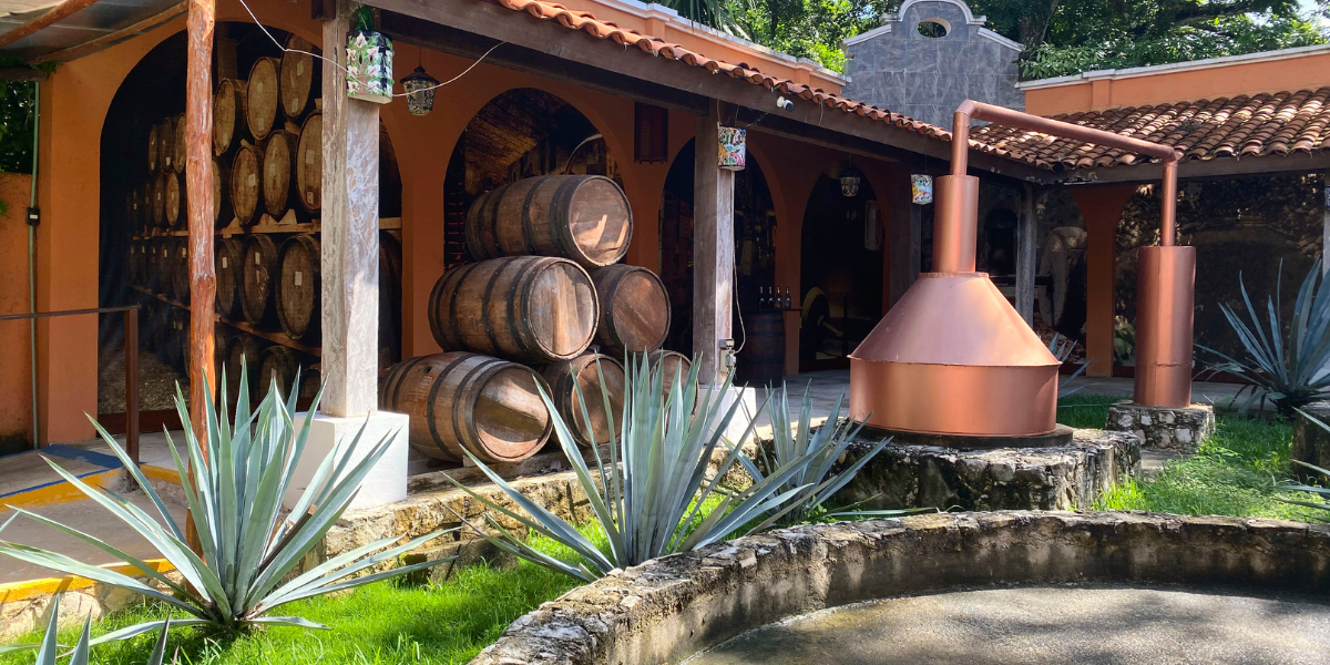 Buy Used Tequila Barrels - Rocky Mountain Barrel Company