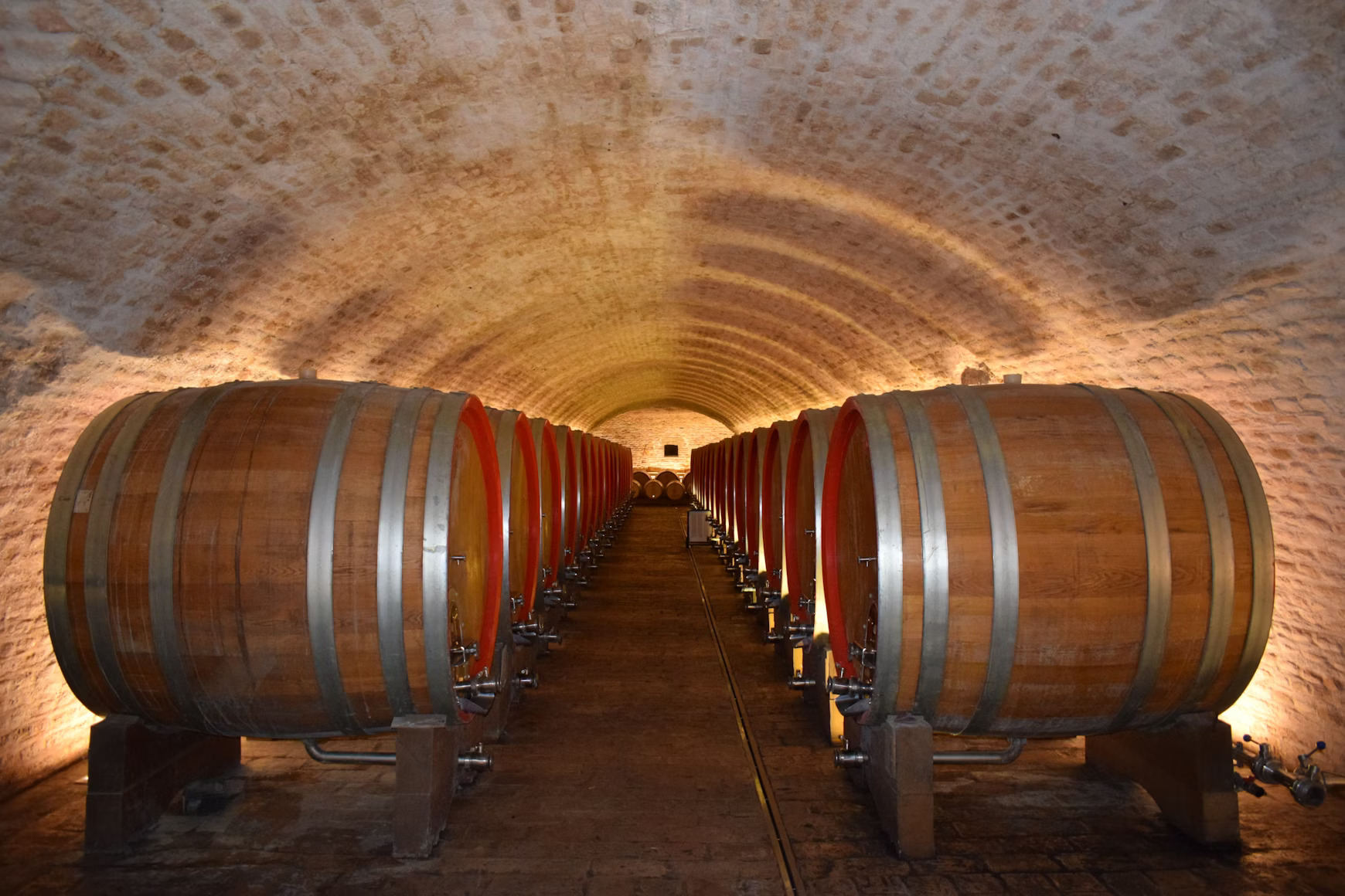 American Oak vs. European Oak: Which Makes Better Whiskey?